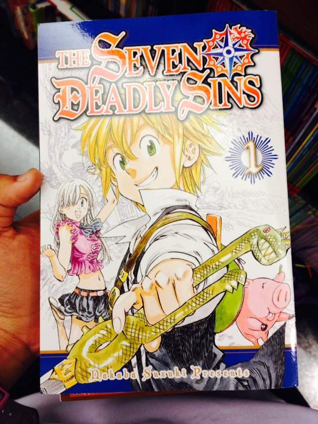 The Seven Deadly Sins Anime Amino